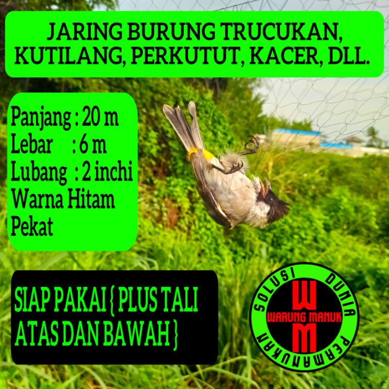 Jual JARING BURUNG KUTILANG 25x6 ,JARING BURUNG PERKUTUT,JARING BURUNG ...