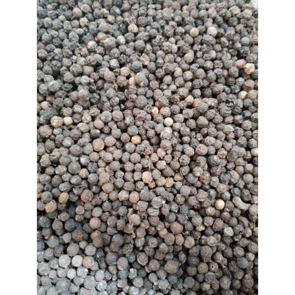 Jual lada hitam | Shopee Indonesia