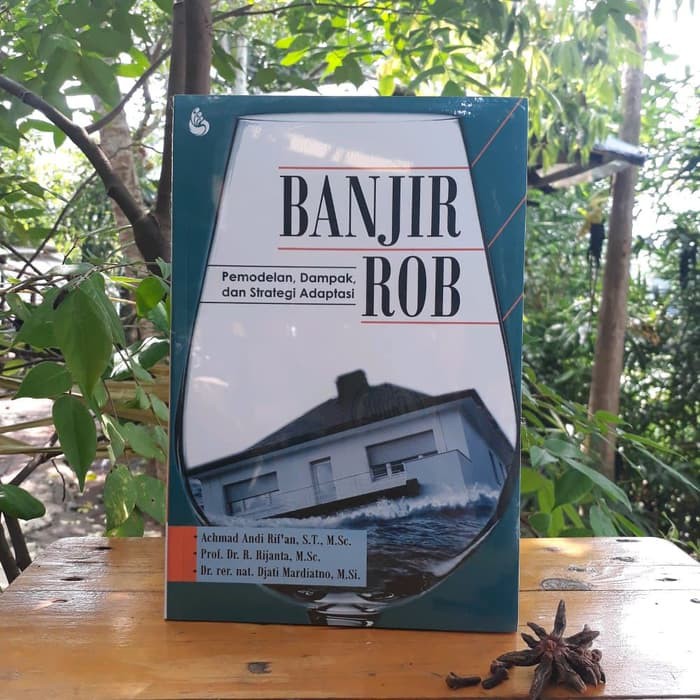 Jual BUKU BANJIR ROB - Achmad Andi Rifin Dkk - BUKU ORI | Shopee Indonesia