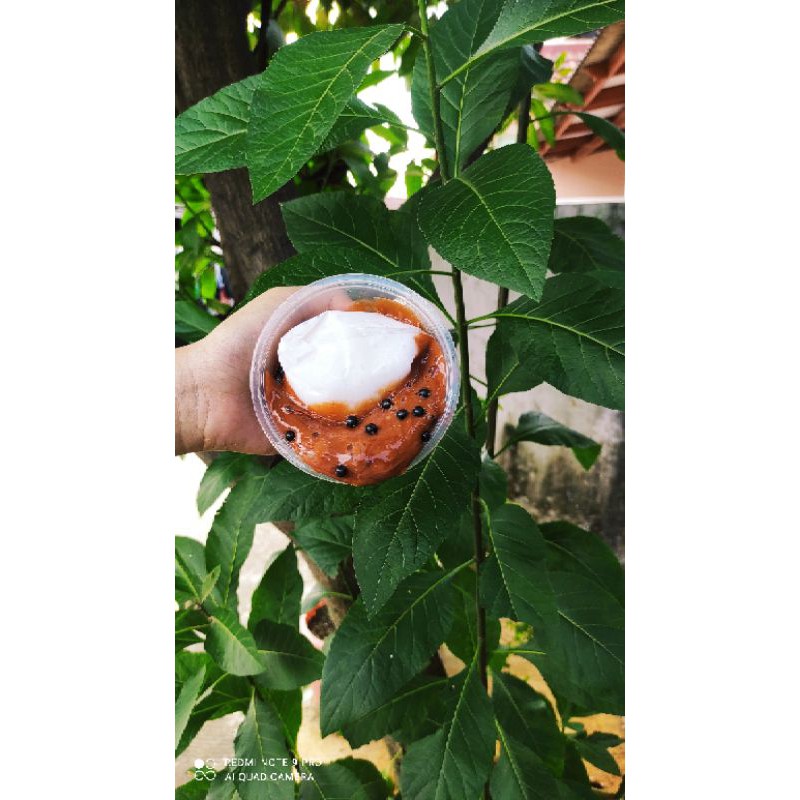 Jual SLIME COKLAT BOBA || TOFU SLIME | Shopee Indonesia