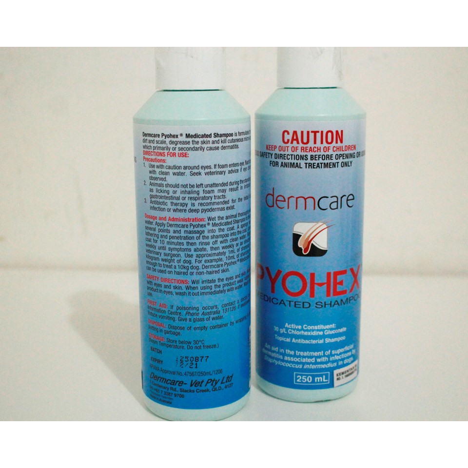 Jual DermCare Pyohex Medicated Shampoo 250 ml - Shampoo Jamur Untuk ...
