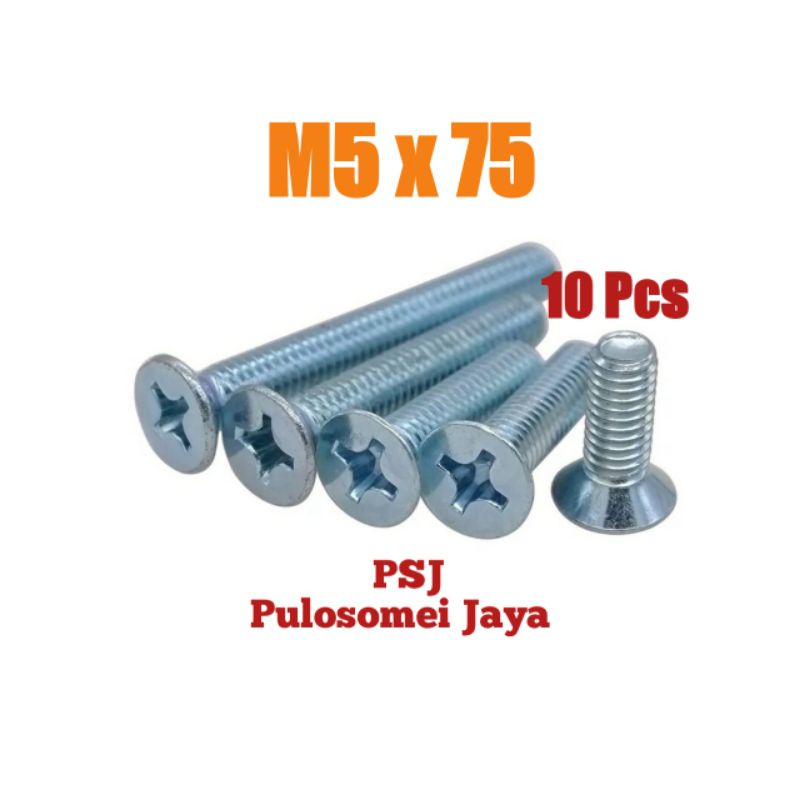 Jual Baut JF / M5 x 75 / Machine Screw Galvanis (10 Pcs) | Shopee Indonesia