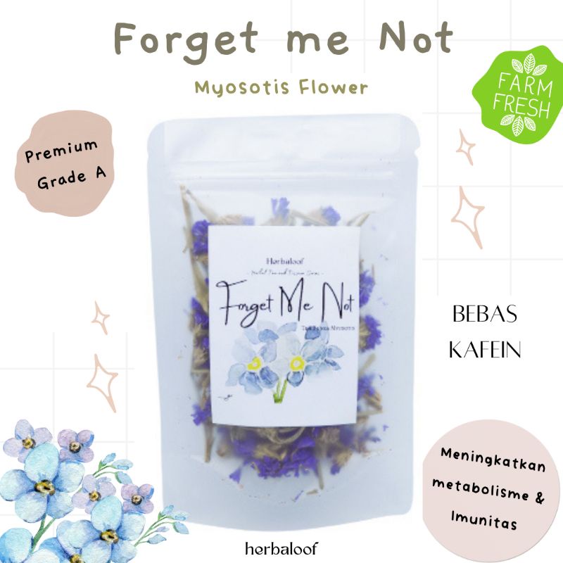 Jual Premium Forget Me Not Flower Tea / Teh bunga Forget Me Not ...