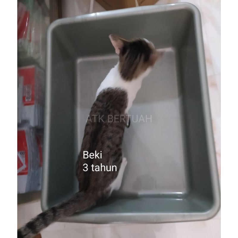 Jual JUMBO PLASTIC LITTER BOX KOTAK PLASTIK BAK PASIR TOILET KUCING ...
