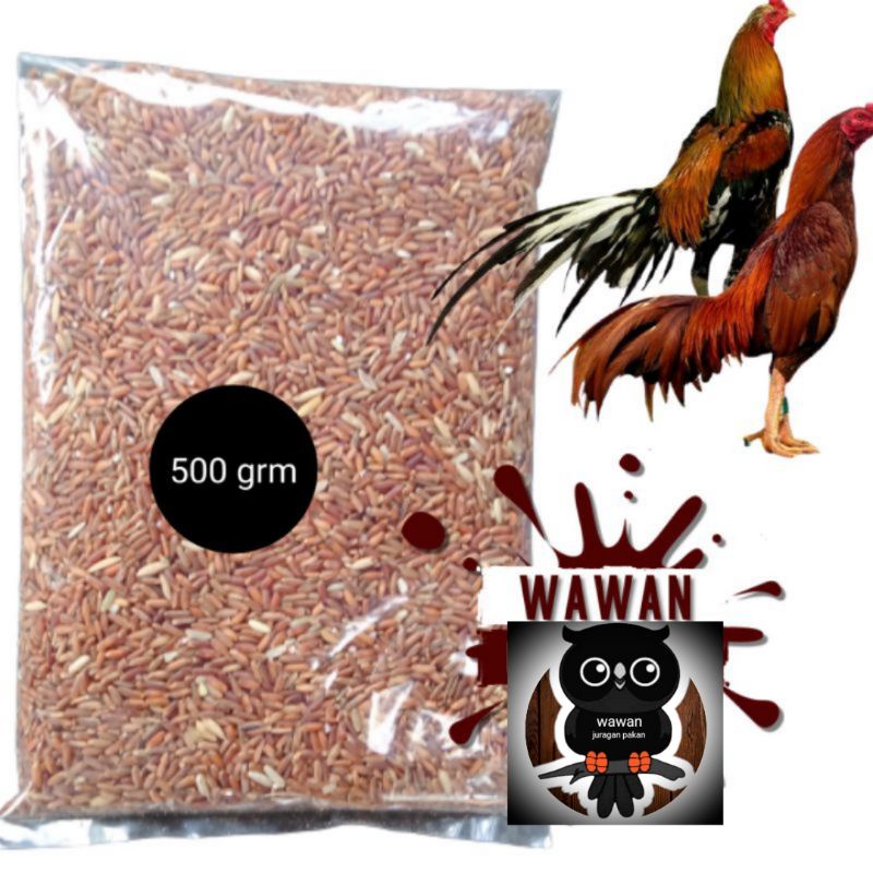 Jual beras merah, pakan 1kg | Shopee Indonesia