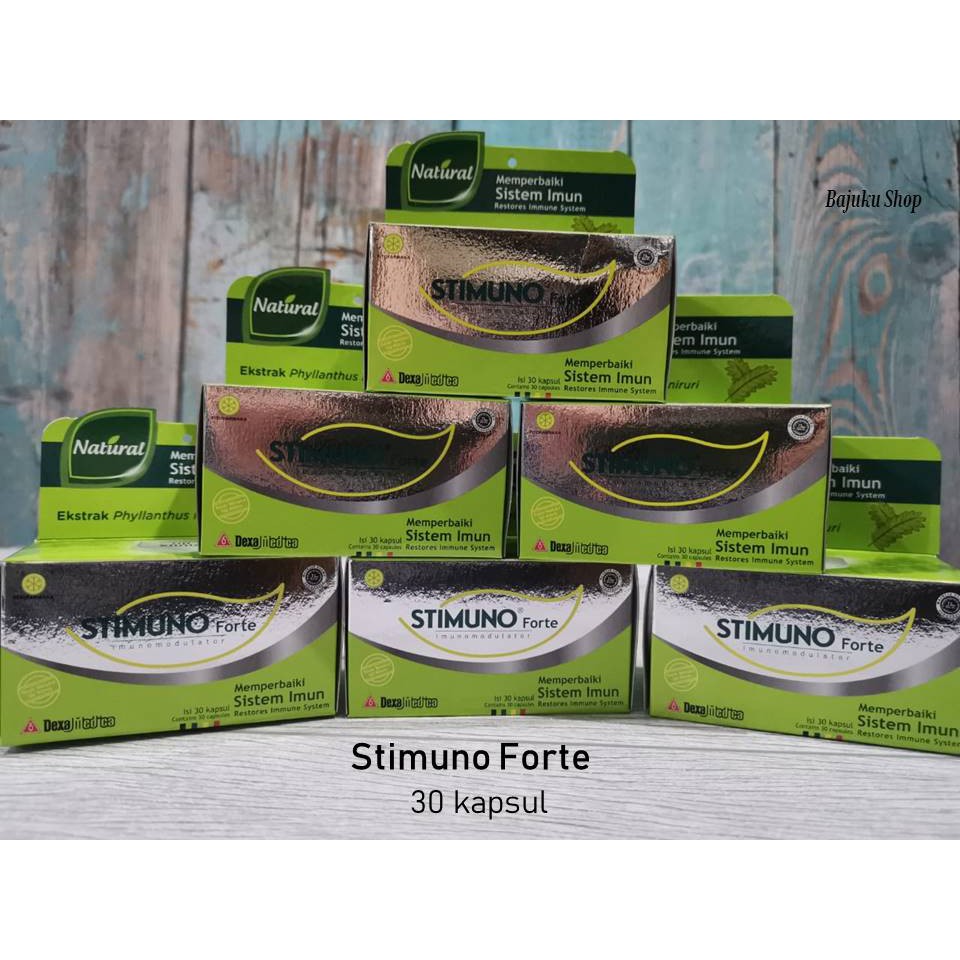 Jual STIMUNO FORTE 30 KAPSUL / BOTOL CAPSULE / IMUNOMODULATOR | Shopee ...