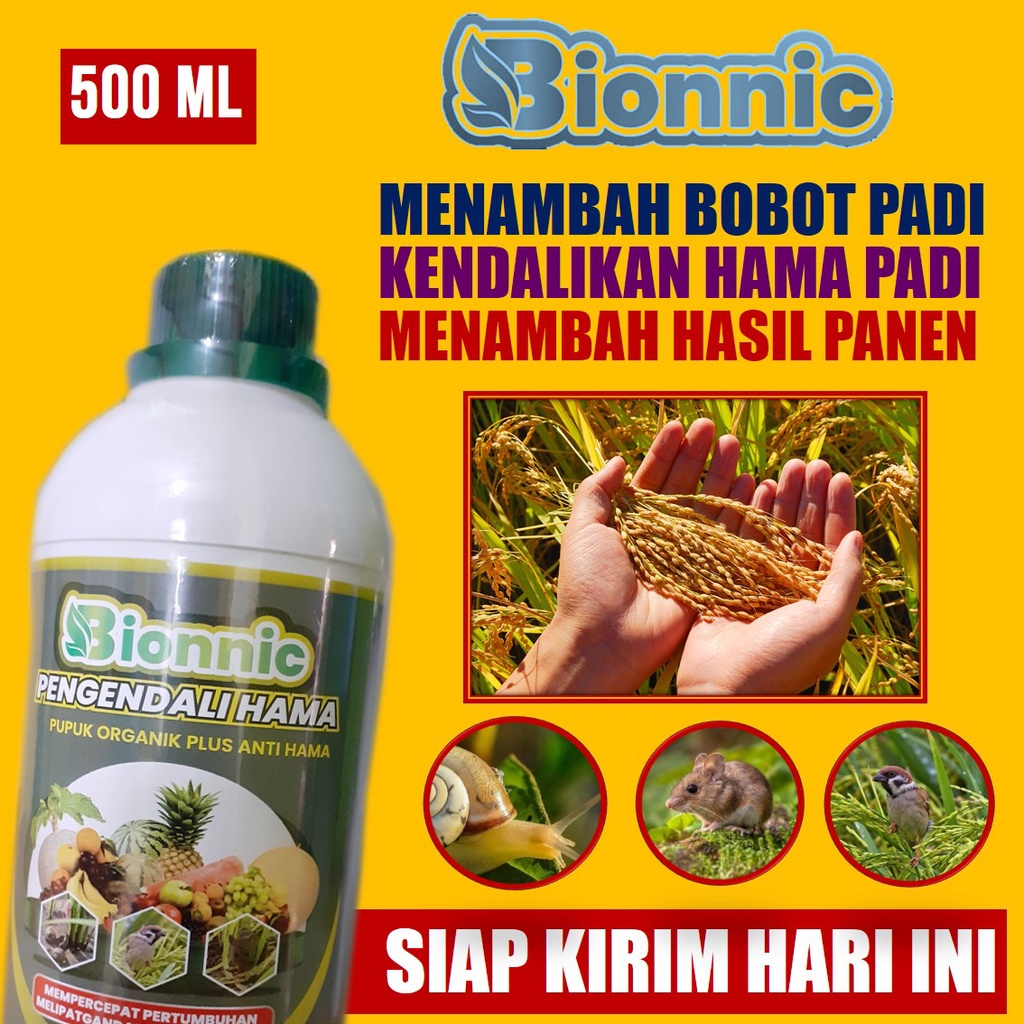 Jual (TERLARIS) BIONNIC 500 ML Obat Pelebat Padi Anti Hama Padi > Pupuk Penambah Bobot Padi ...