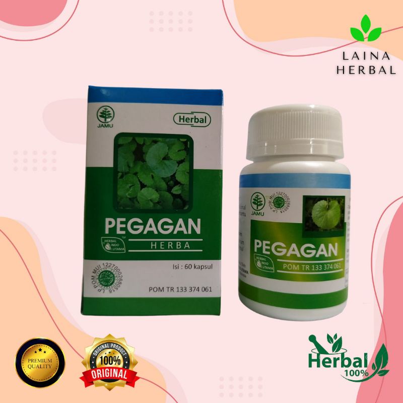 Jual kapsul pegagan kapsul pegagan ekstrak kapsul pegagan herbamedika kapsul pegagan hpai ...