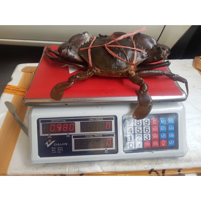 Jual Kepiting Mega Jumbo (Masakan) | Shopee Indonesia
