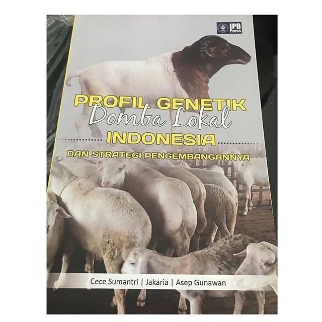 Jual Profil Genetik Domba Lokal Indonesia | Shopee Indonesia