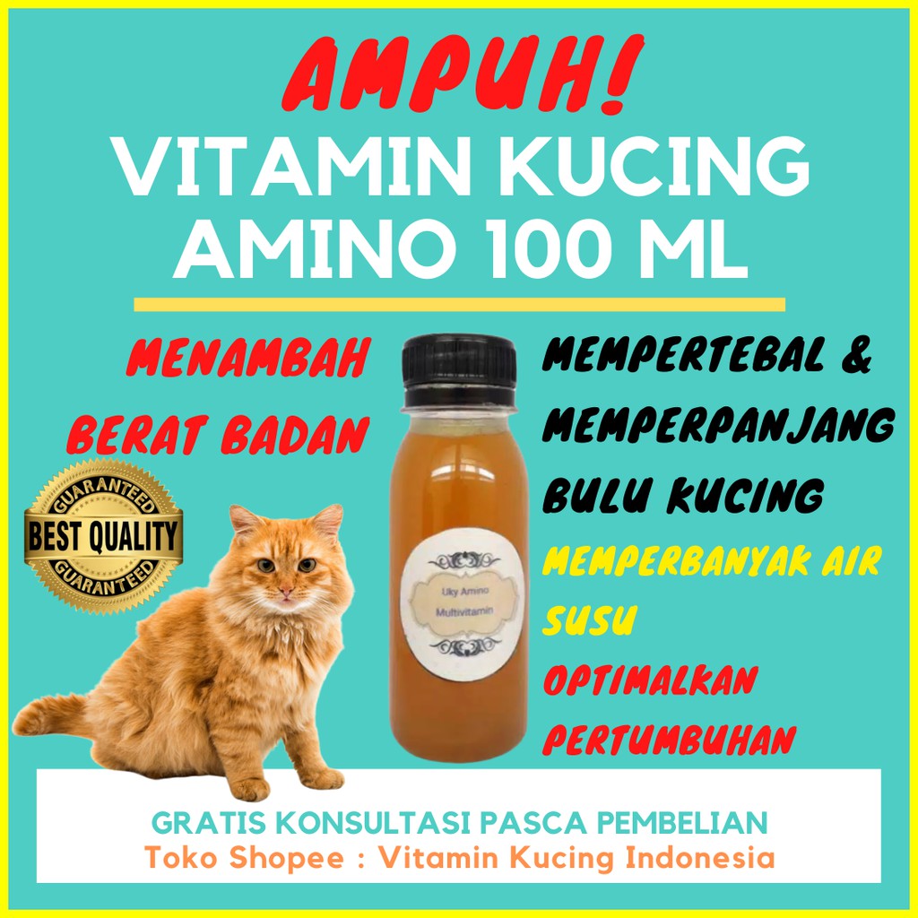 Jual Vitamin Kucing Amino 100ml (Multivitamin Kucing) Bikin Gemuk Bulu ...