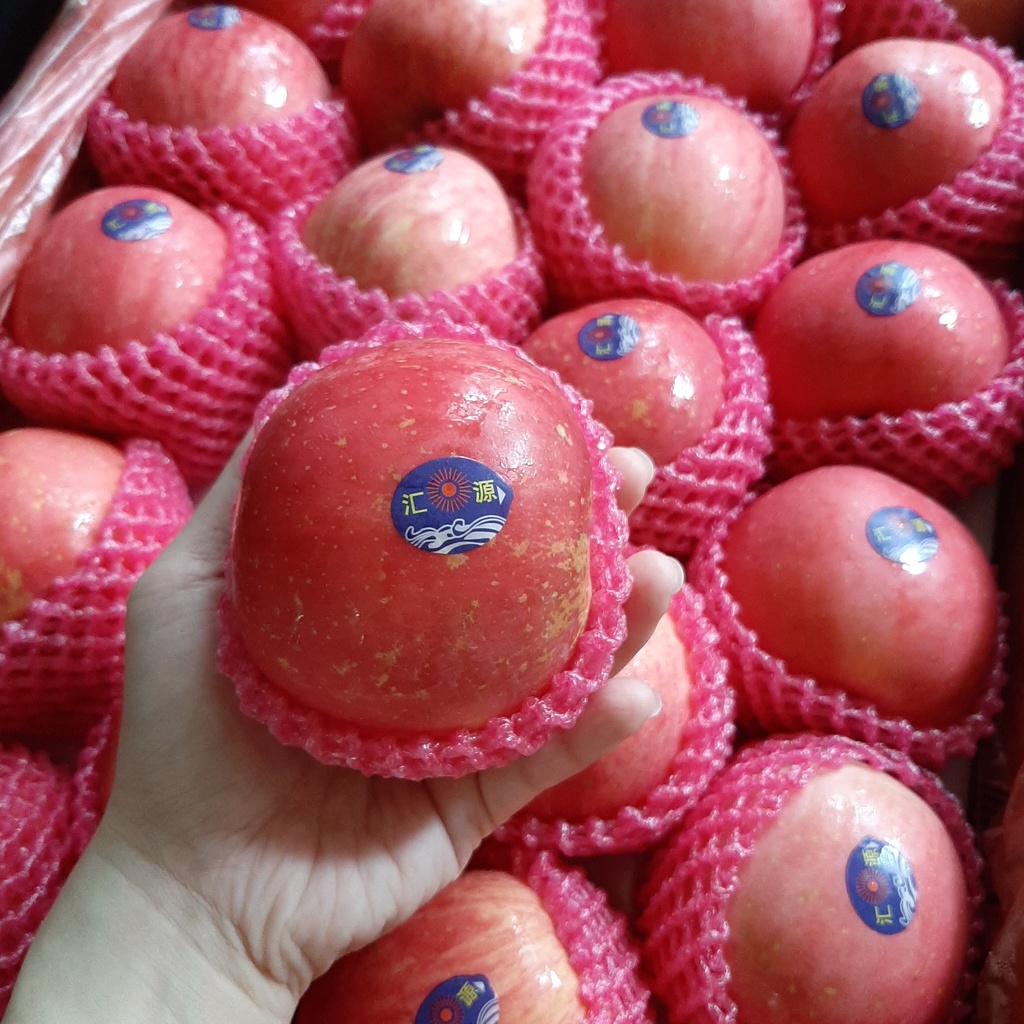 Jual Apel Fuji RRC/ Buah Segar Import | Shopee Indonesia