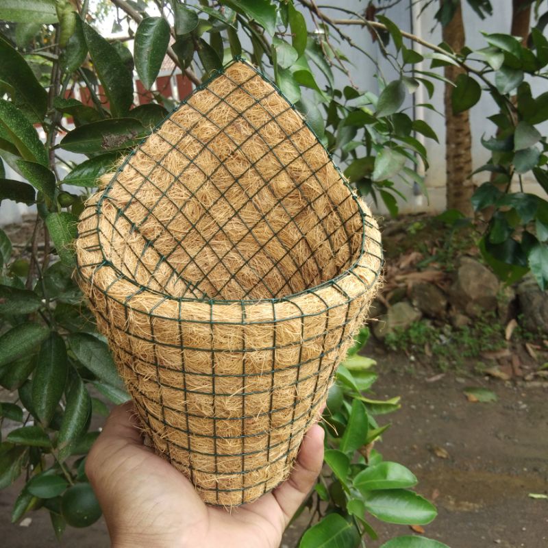 Jual Pot Tempel Dinding Sabut Kelapa Pot Tanaman hias Anggrek | Shopee ...