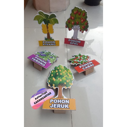 Jual Pohon,Peraga Pohon,Mainan Pohon,Peraga tanaman, Replika tanaman ...