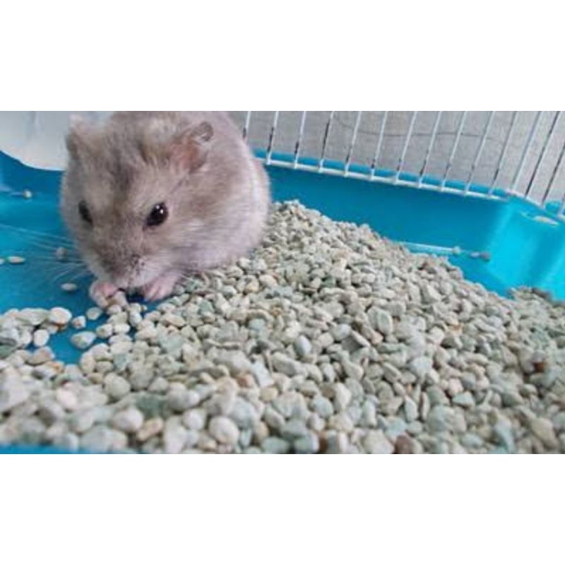 Jual Pasir zeolite alas pasir hamster | Shopee Indonesia