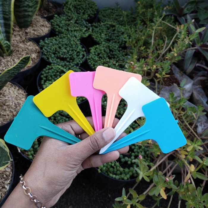 Jual Label Tanaman Tancap, Label Nama Tanaman Warna, Label Murah ...