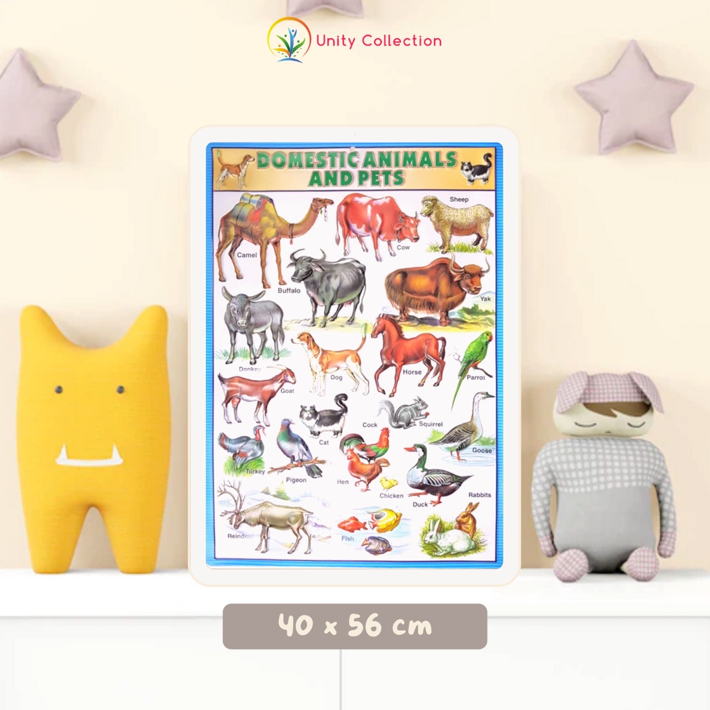 Jual Poster Timbul Tempel Dinding Edukasi Anak Belajar Variasi Domestic ...