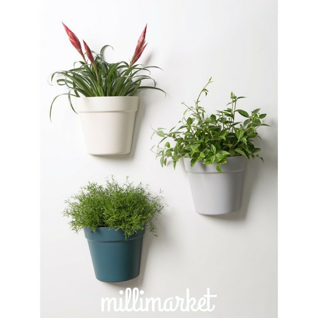 Jual [MILLI] POT BUNGA TEMPEL DINDING/tPot plastik untuk tanaman dalam ...