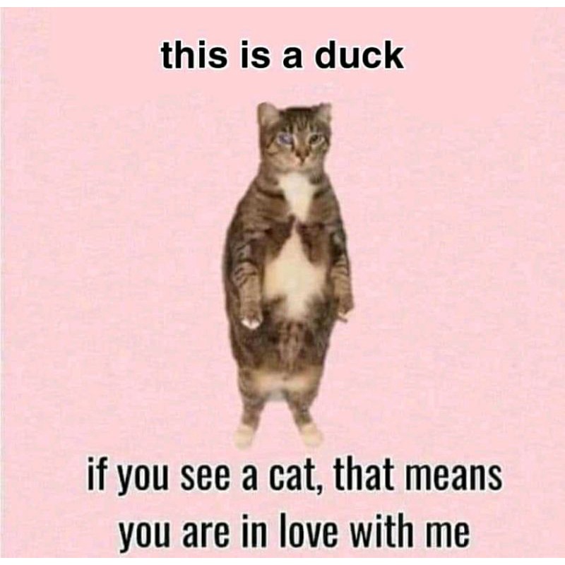 Jual undangan sunat custom | Shopee Indonesia