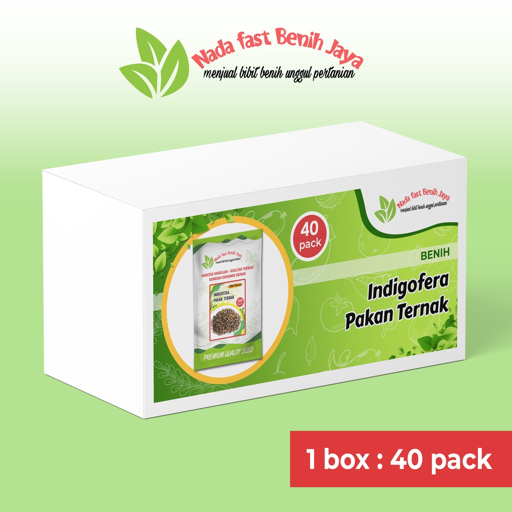 Jual Benih indigofera super kemasan 1 kardus murah / bibit pakan ternak ...
