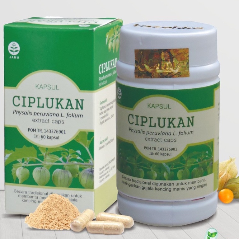 Jual Kapsul Daun Buah Ciplukan Ceplukan Tazakka Original Halal BPOM Isi ...