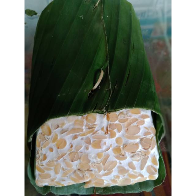 Jual Tempe dan Tempe Gembus | Shopee Indonesia