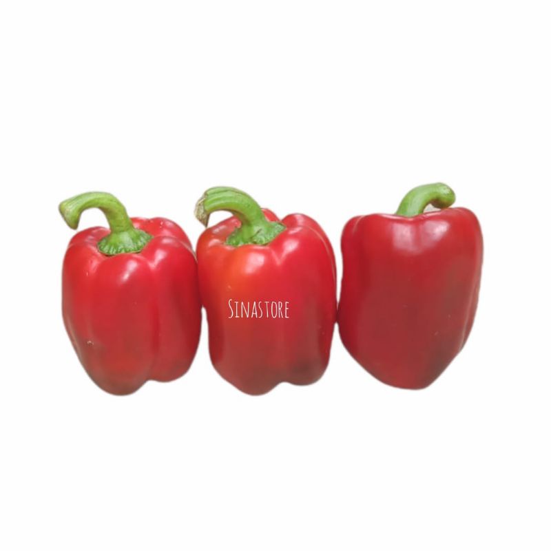 Jual Paprika Merah Segar/fresh 500gram | Shopee Indonesia