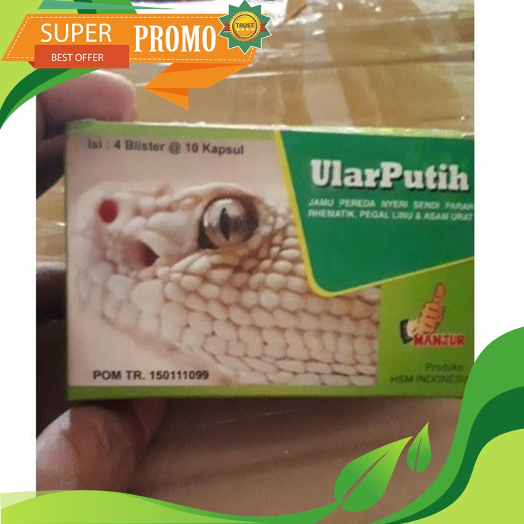 Jual Ular Putih Obat Asam Urat Ampuh Sekali Herbal pegel linu Sakit ...