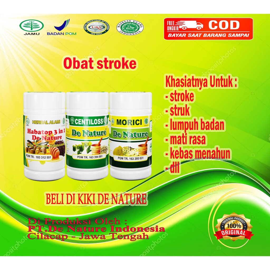 Jual Obat struk obat stroke obat mati rasa lumpuh badan lumpuh sebelah ...