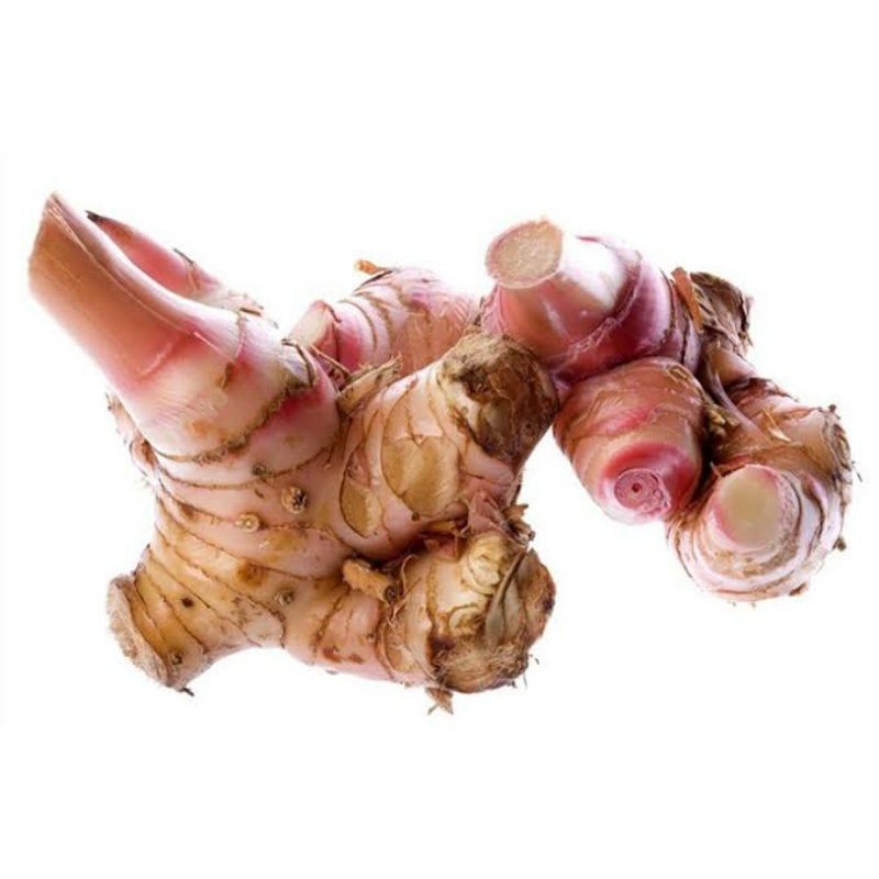 Jual Laos / Lengkuas / Bumbu Dapur Empon Empon Rempon / Berat 1 kg ...