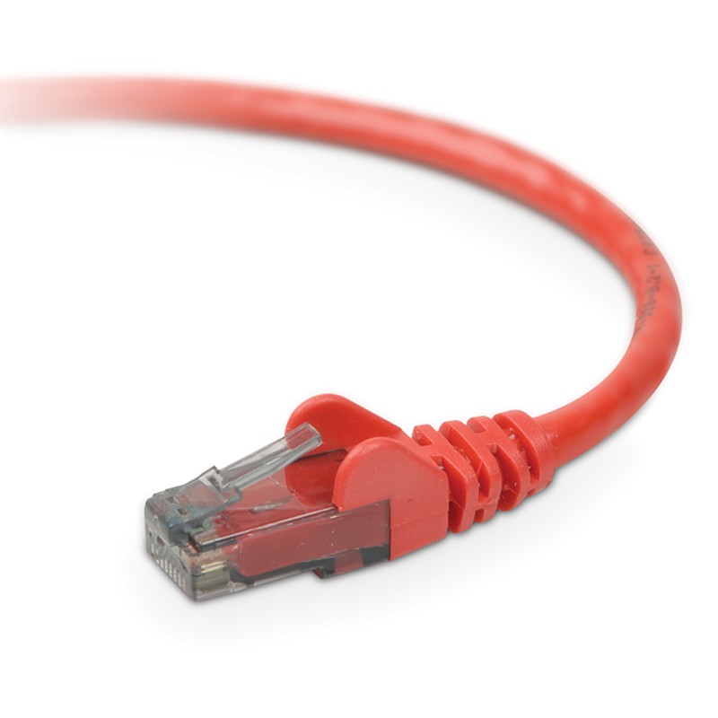 Jual Belkin UTP Cat 6 Patch Cord 7 Feet - 2 Meter) | Shopee Indonesia