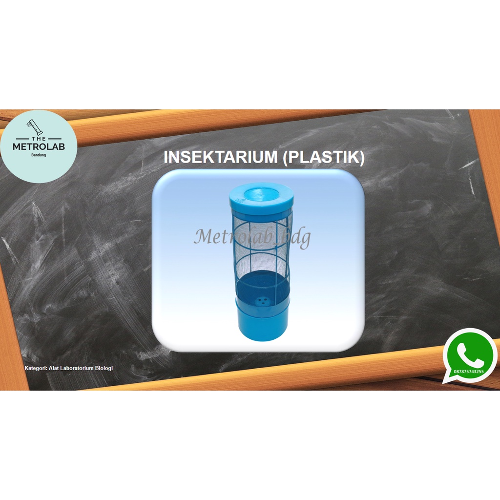 Jual Insektarium | Bahan Plastik | Shopee Indonesia