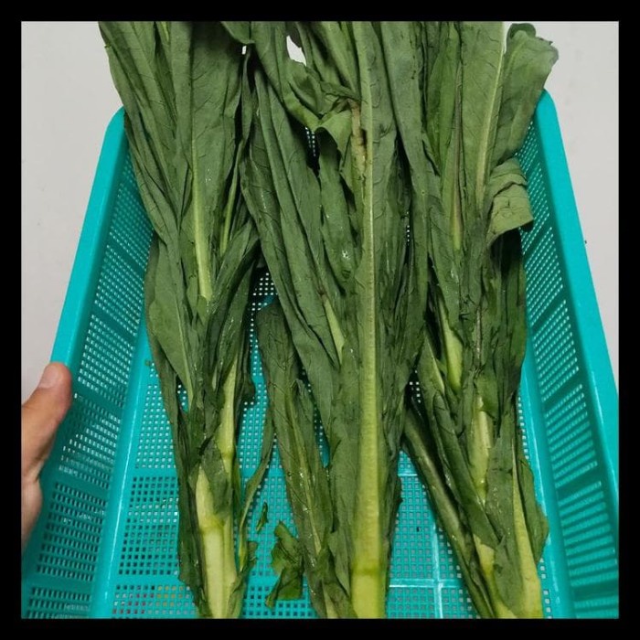 Jual Sayur Fumak Makanan Kura Kura Darat Pelet Tortoise Iguana BD ...