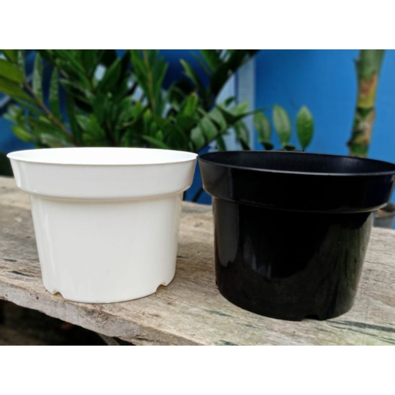 Jual Pot putih hitam 17 pot bunga hias kopeng 17 hitam putih | Shopee ...