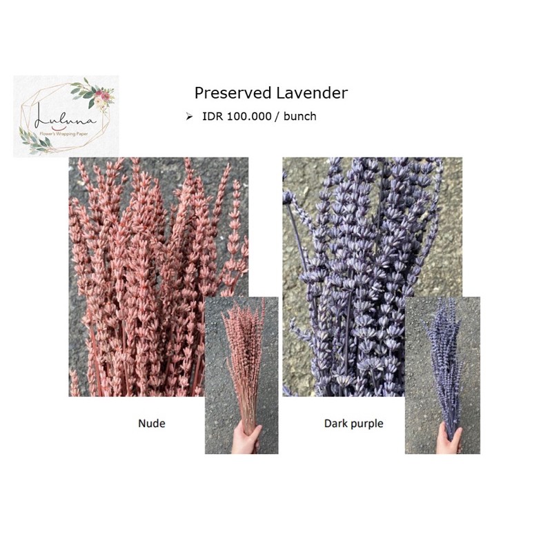 Jual Preserved Lavender / Bunga Kering / Bunga Buket / Bunga Box ...