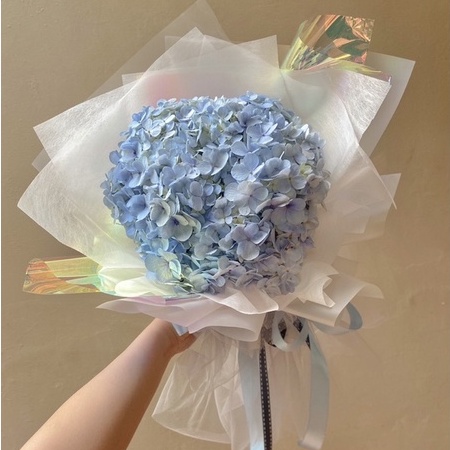 Jual [BUNGA ASLI] BUKET BUNGA HYDRANGEA / BUNGA HORTENSIA / BUDGETED ...