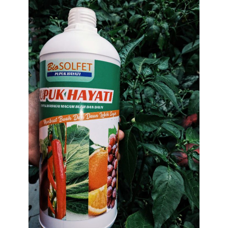 Jual PUPUK HAYATI BIO SOLFET | Shopee Indonesia