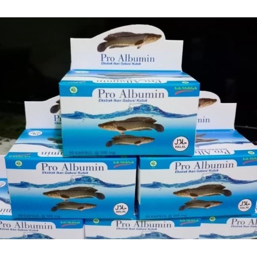 Jual Pro Albumin Ikan Gabus Original Multivitamin Isi 50kp | Shopee ...