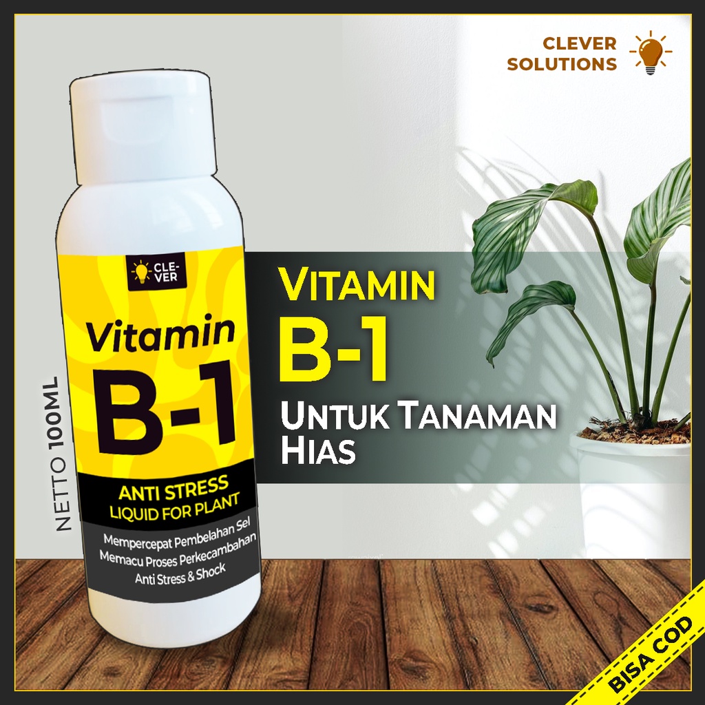 Jual Clever Solutions - Vitamin B1 Tanaman Hias 100 ML Liquinox Anti Stress, Penumbuh akar ...