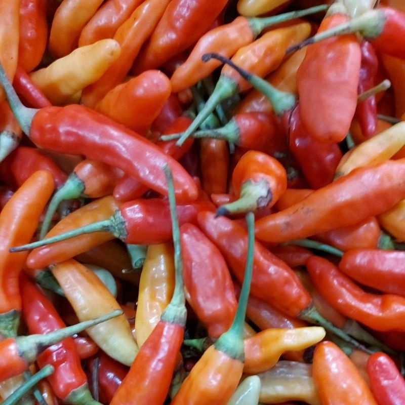 Jual CABAI RAWIT MERAH 1KG FRESH | Shopee Indonesia