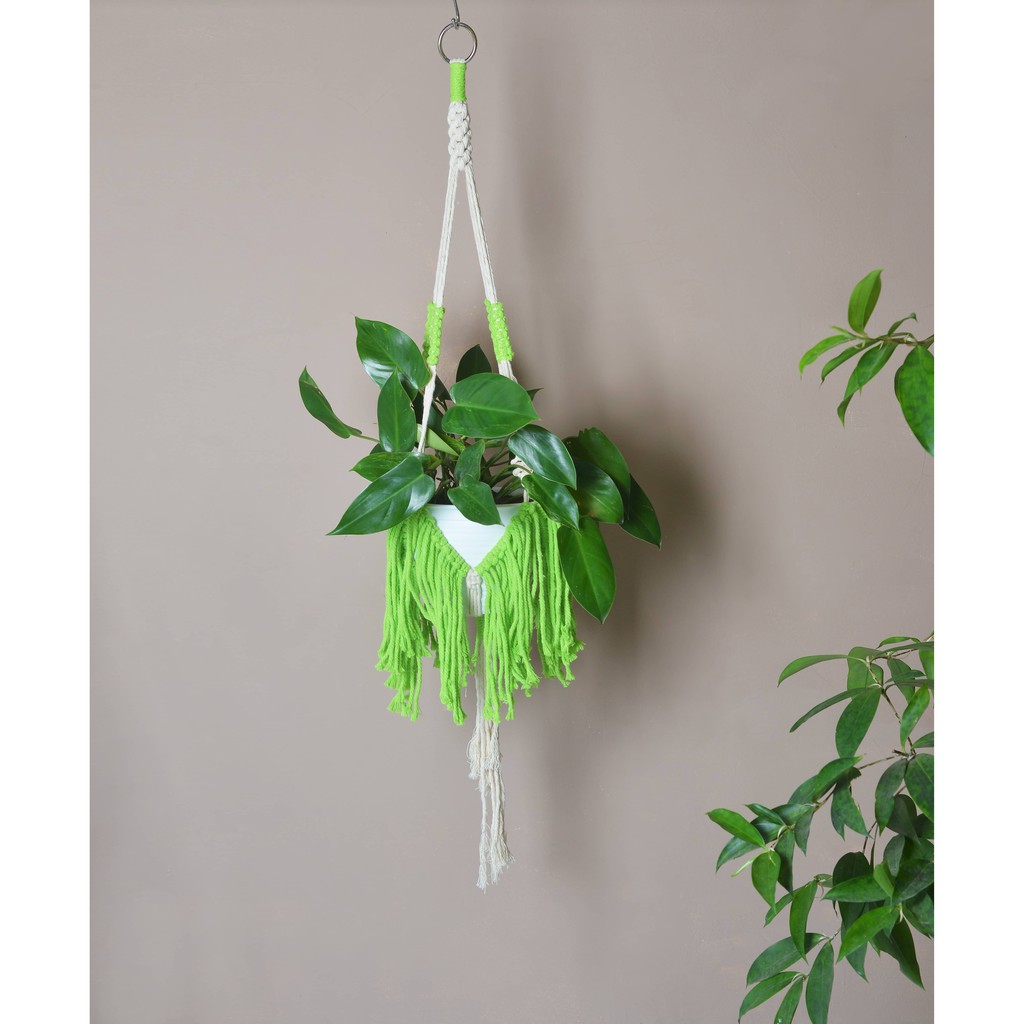 Jual TWIST ROPE - Plant Holder/Gantungan Tanaman Lime | Shopee Indonesia