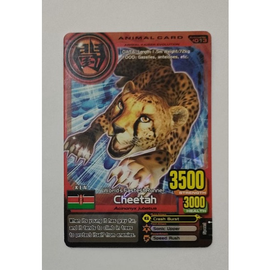 Jual Kartu Animal Kaiser Original (Jual Murah) Bongkar Gudang Koleksi ...