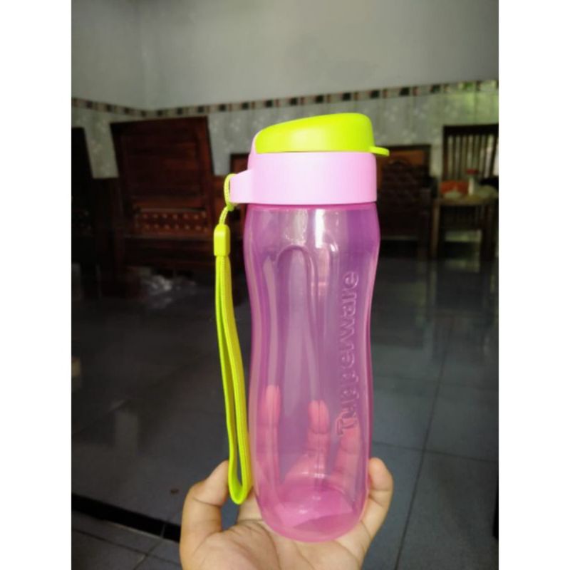 Jual Botol minum tupperware Eco botol eco brush tupperbrush sikat botol ...
