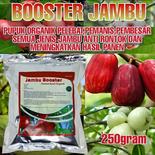 Jual Pupuk Jambu Booster Organik Pelebat Pemanis Perangsang Buah Jambu 250gr | Shopee Indonesia