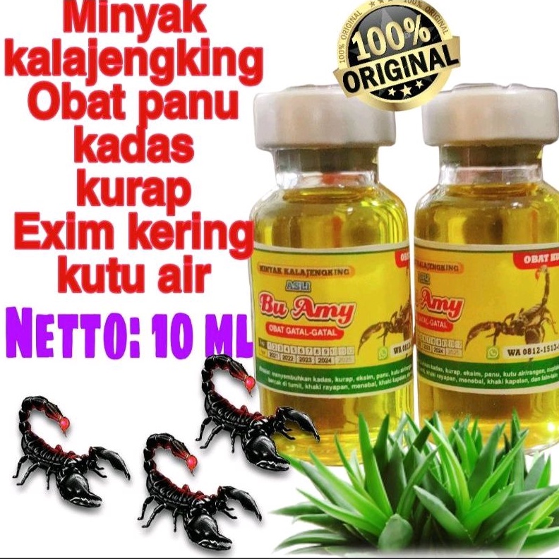 Jual Minyak Kalajengking Obat Panu Exim Kering Kadas Kurap Gatal ...