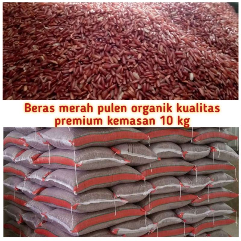 Jual Beras merah organik 10kg | Shopee Indonesia