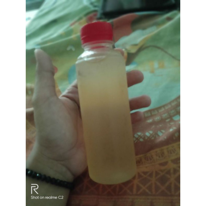 Jual The Legend (air dari pohon siwalan) | Shopee Indonesia