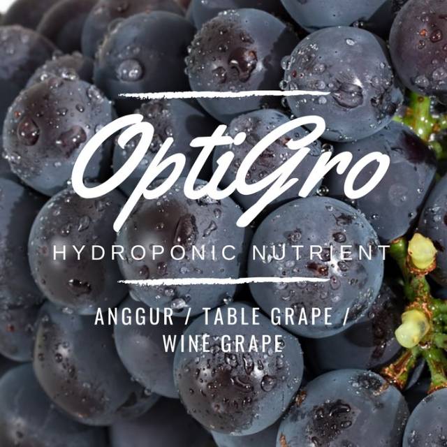Jual OptiGro Nutrisi AB Mix Pupuk Hidroponik Anggur Grape 100 Liter ...