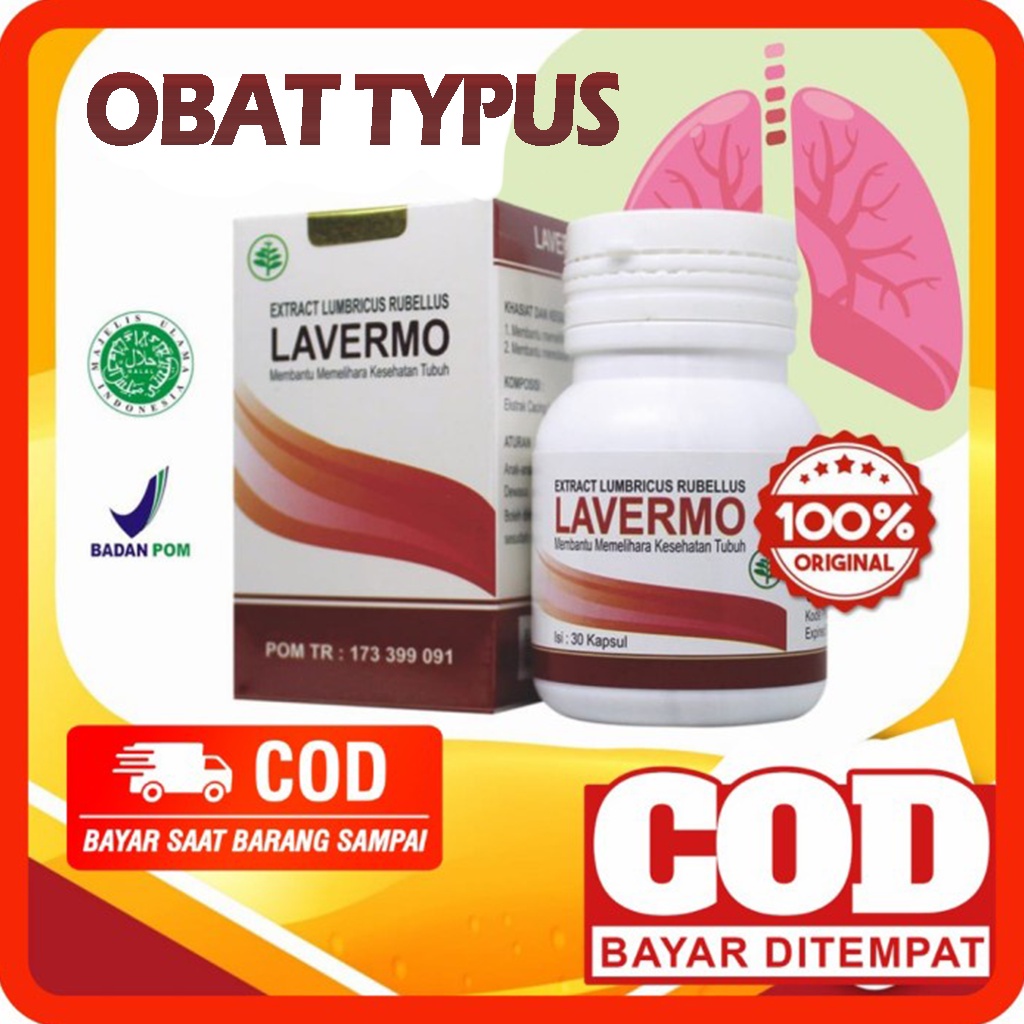 Jual Obat Typus / Tipes Kapsul cacing LAVERMO Penurun Panas Demam ...