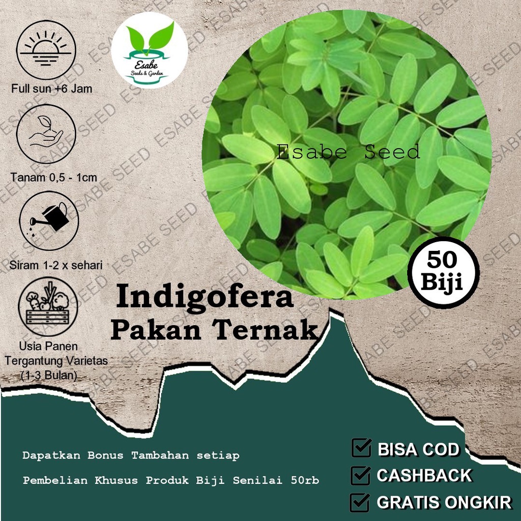 Jual Benih Biji Rumput Indigofera Pakan Ternak | Shopee Indonesia